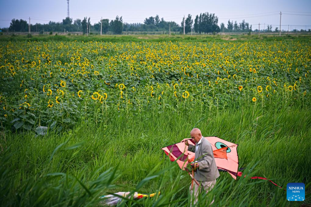 Distrito de Gucheng, em Hebei, transforma margens do Grande Canal em ...